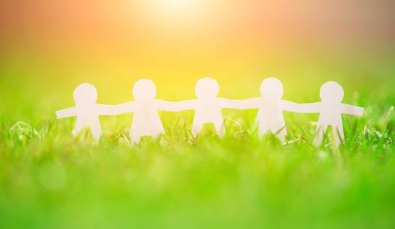 Courses - Westminster Insight